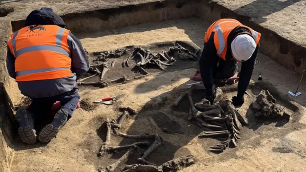 Ancient History Unearthed: Chip Fab Site in Germany Reveals 6,000-Year ...