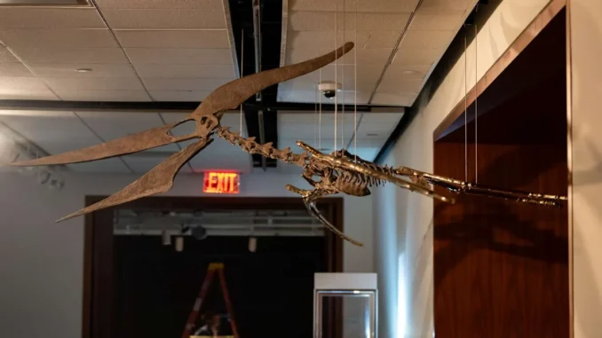 209-Million-Year-Old ‘Ash-Winged’ Reptile Unearthed in Arizona